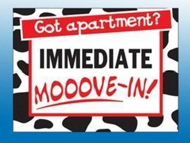Immediate Move In#177