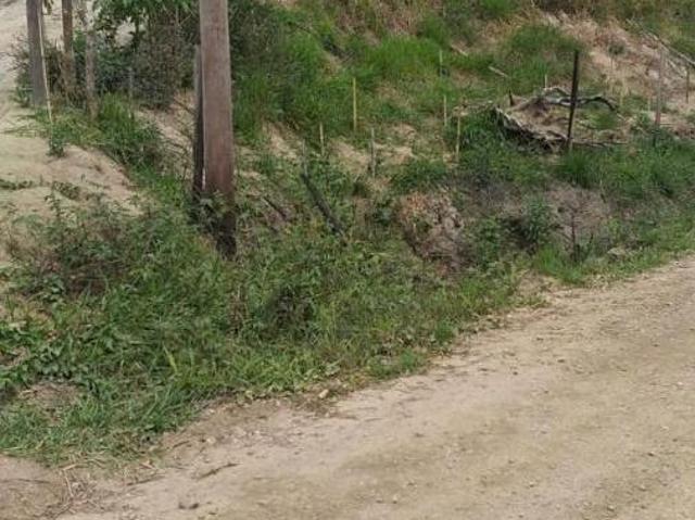 Chácara em Borda da Mata, Caçapava/SP de 1000m² 1 quartos à venda por R$ 128.000,00