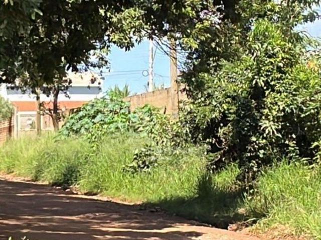 Imoveis na Chácara Flora Araraquara