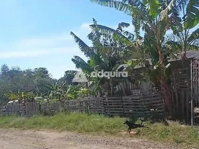 Imoveis na Chapada