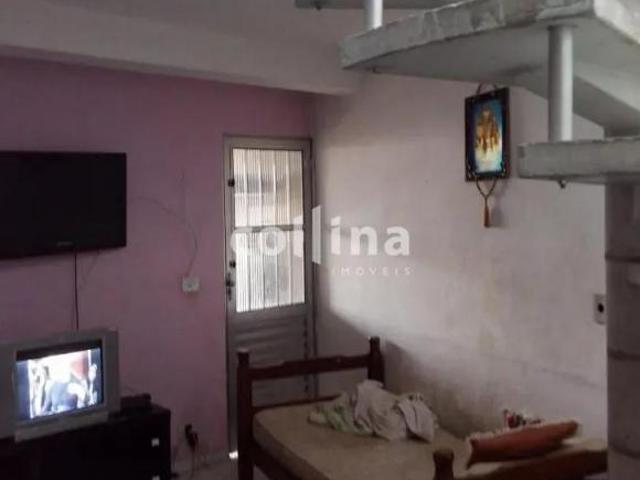 Imoveis na Cidade Ariston Estela Azevedo