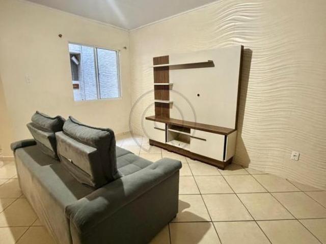 Imoveis na Cidade Nova