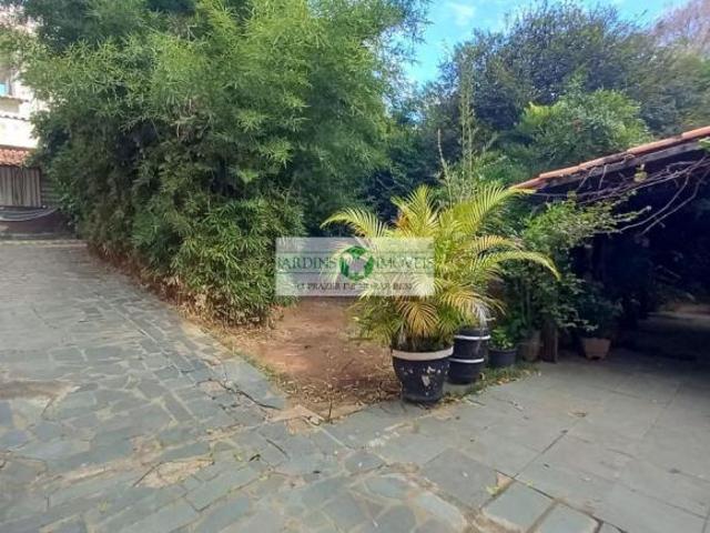 Imoveis na Cidade Nova
