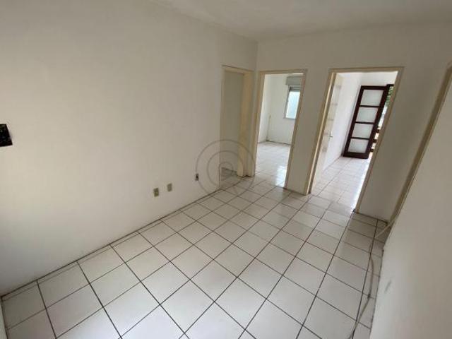Imoveis na Cidade Nova