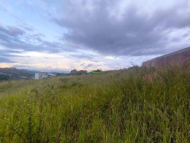 Imoveis na Cidade Nova