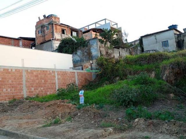Imoveis na Cidade Nova