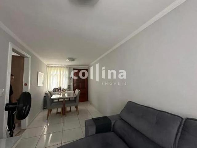 Imoveis na Cohab II