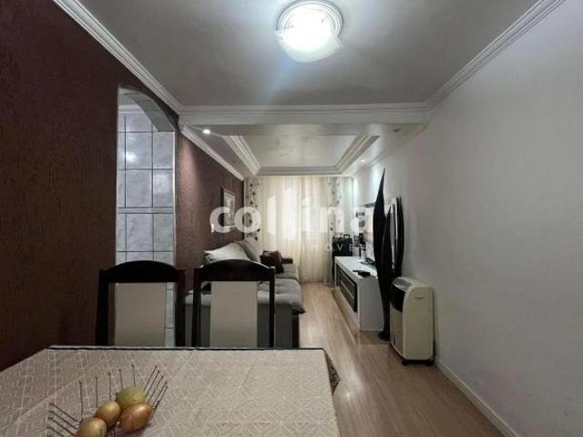 Imoveis na Cohab V