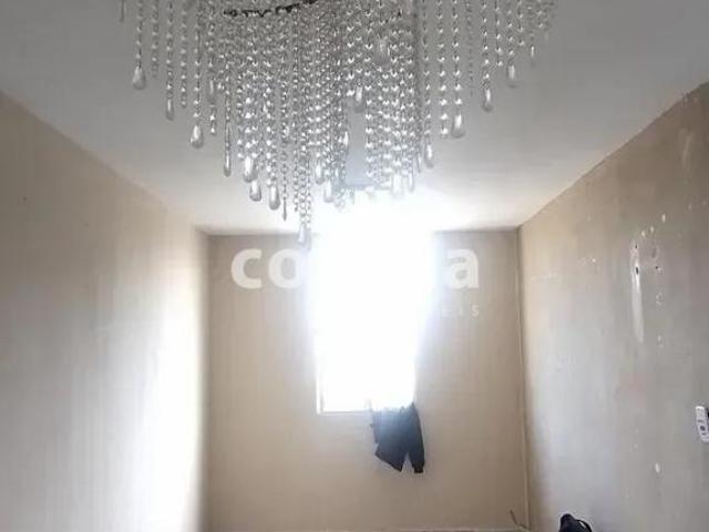 Imoveis na Cohab V