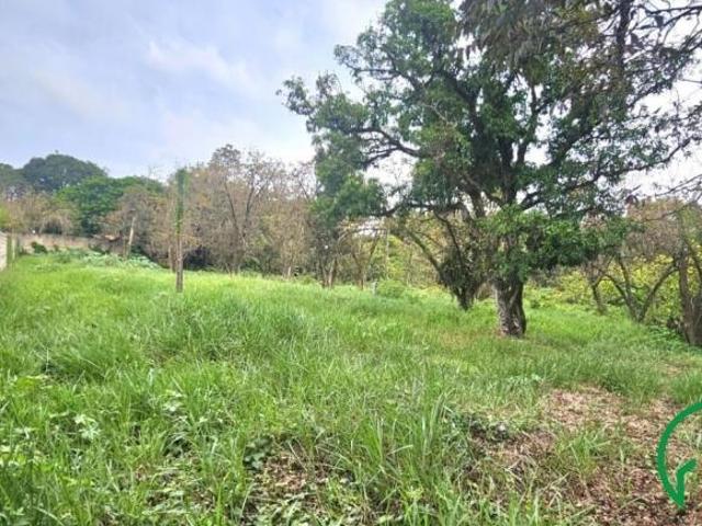 Imoveis na Estância Recreativa San Fernando