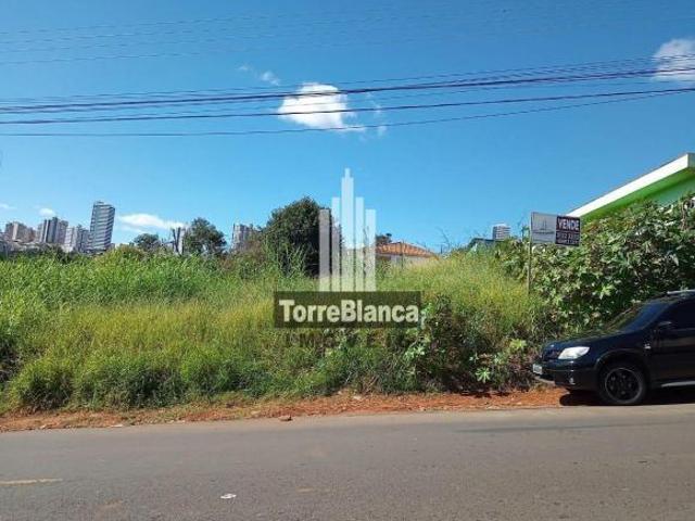 Terreno em Estrela, Ponta Grossa/PR de 10m² à venda por R$ 235.000,00