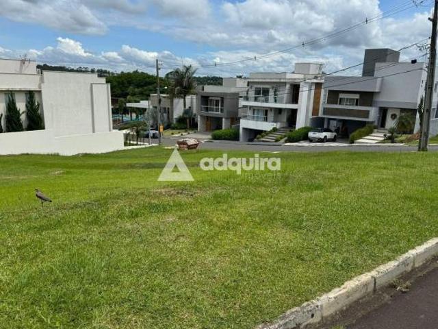 Terreno em Estrela, Ponta Grossa/PR de 10m² à venda por R$ 1.290.000,00