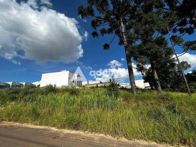 Imoveis na Estrela