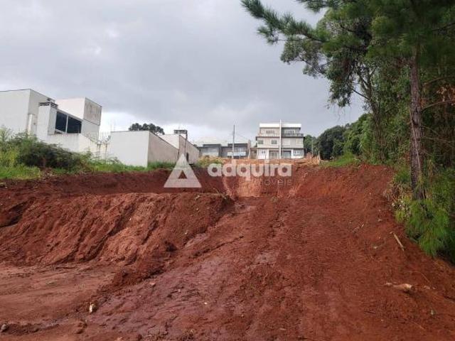 Terreno em Estrela, Ponta Grossa/PR de 10m² à venda por R$ 315.000,00