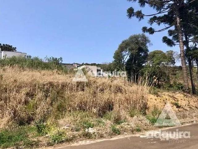 Imoveis na Estrela