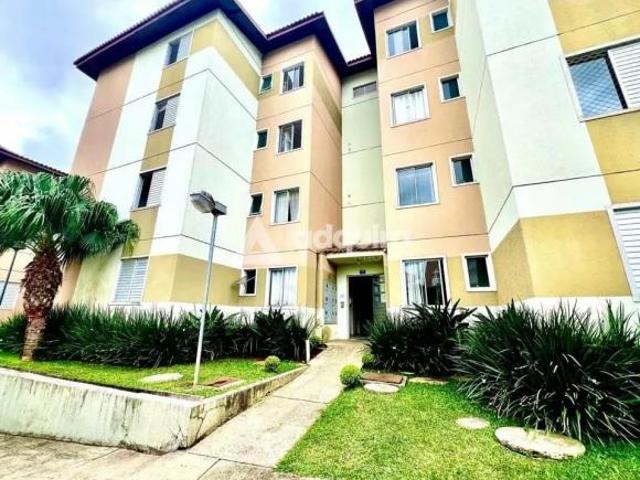 Imoveis na Estrela