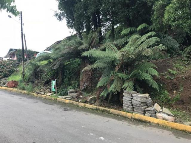 Imoveis na Floresta