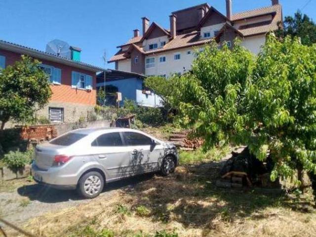 Imoveis na Floresta