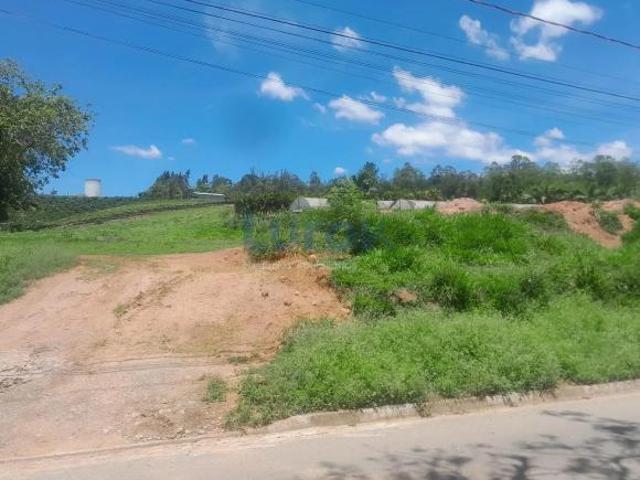Imoveis na Ponte Preta