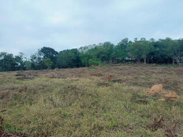 Imoveis na Vila Belizário