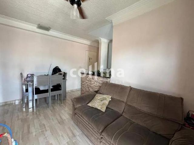 Imoveis na Vila Ester