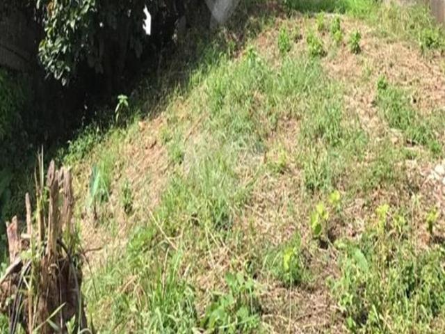Imoveis na Vila Madalena