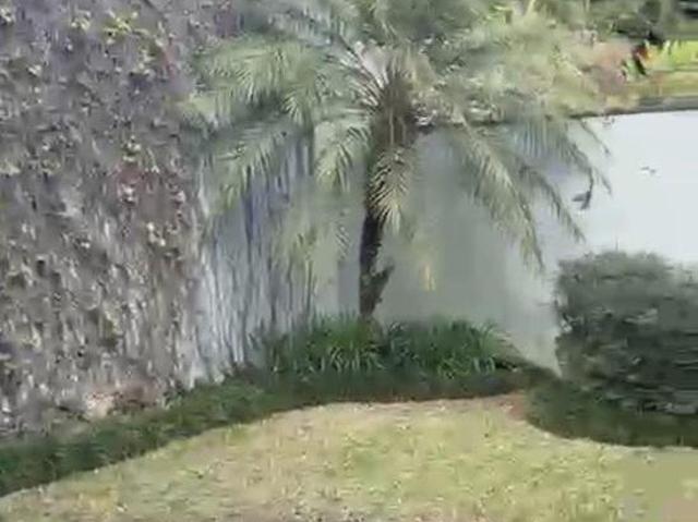 Imoveis na Vila Madalena