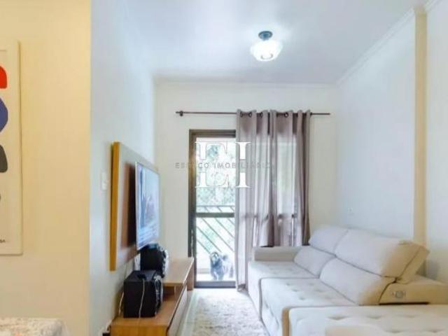Imoveis na Vila Mascote