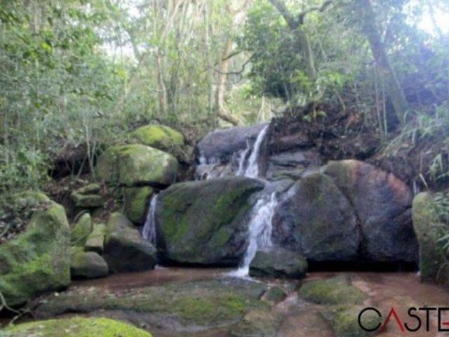 Imoveis na Vila Nova