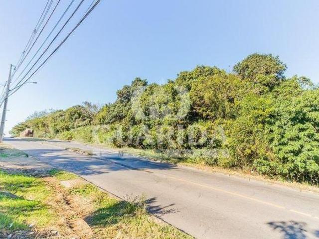 Imoveis na Vila Nova