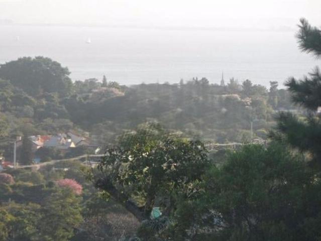 Imoveis na Vila Nova