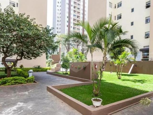 Imoveis na Vila Nova Cachoeirinha