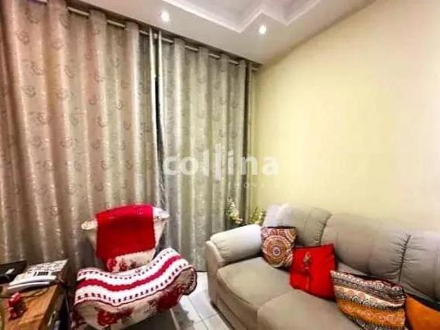 Imoveis na Vila São João