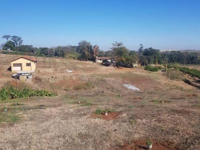 Imoveis na Vila Saltinho