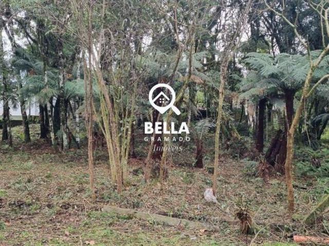 Imoveis na Vila Suíça