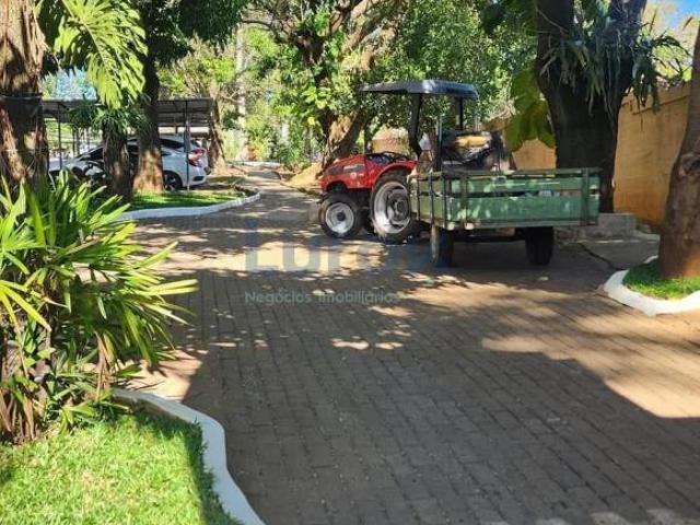 Imoveis na Vila Padre Manoel de Nóbrega
