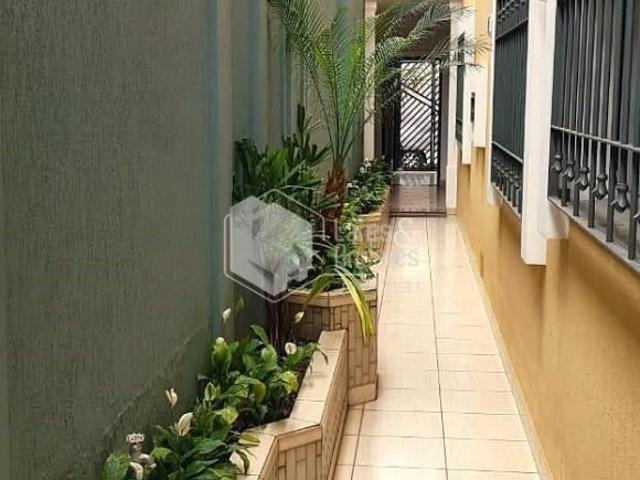Imoveis na Vila Romana