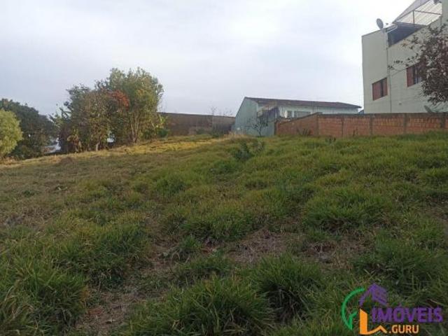 Imoveis na Vila Togni