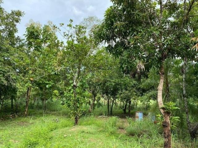 Imoveis na Zona Rural