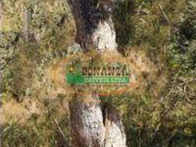 Imoveis na Zona Rural