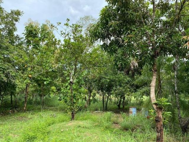 Imoveis na Zona Rural