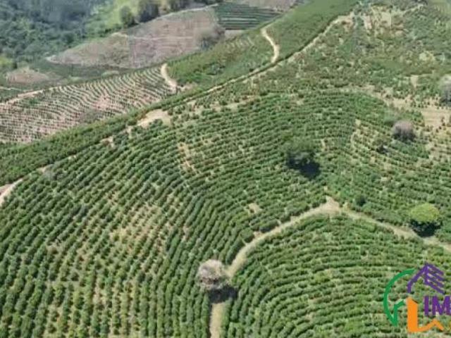Imoveis na Zona Rural