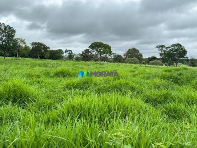 Imoveis na Zona Rural