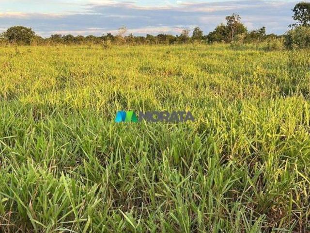 Imoveis na Zona Rural