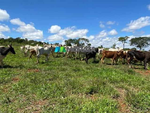 Imoveis na Zona Rural