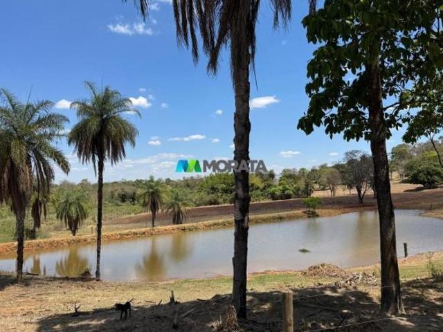 Imoveis na Zona Rural