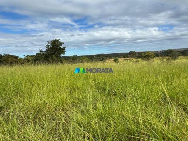 Imoveis na Zona Rural