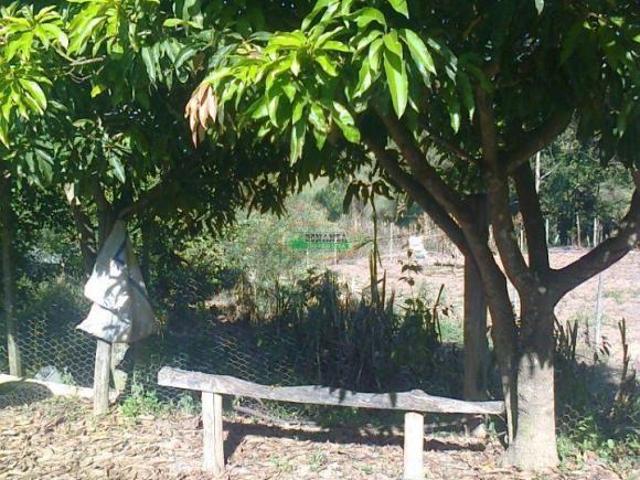 Imoveis na Zona Rural