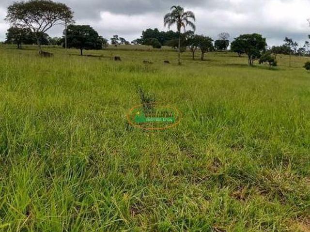 Imoveis na Zona Rural