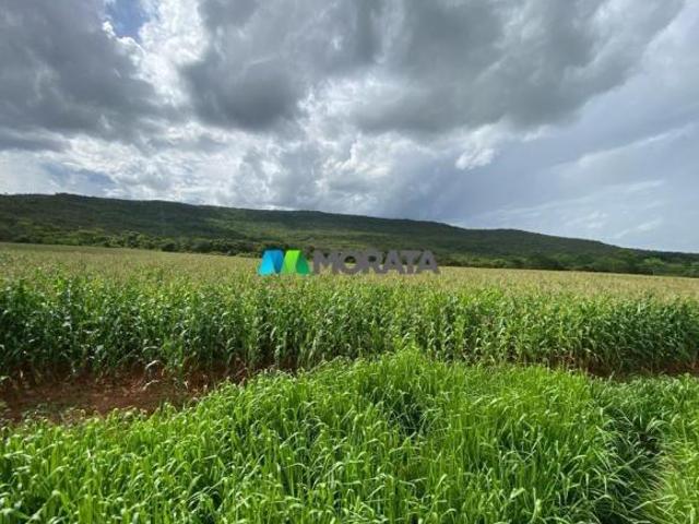 Imoveis na Zona Rural